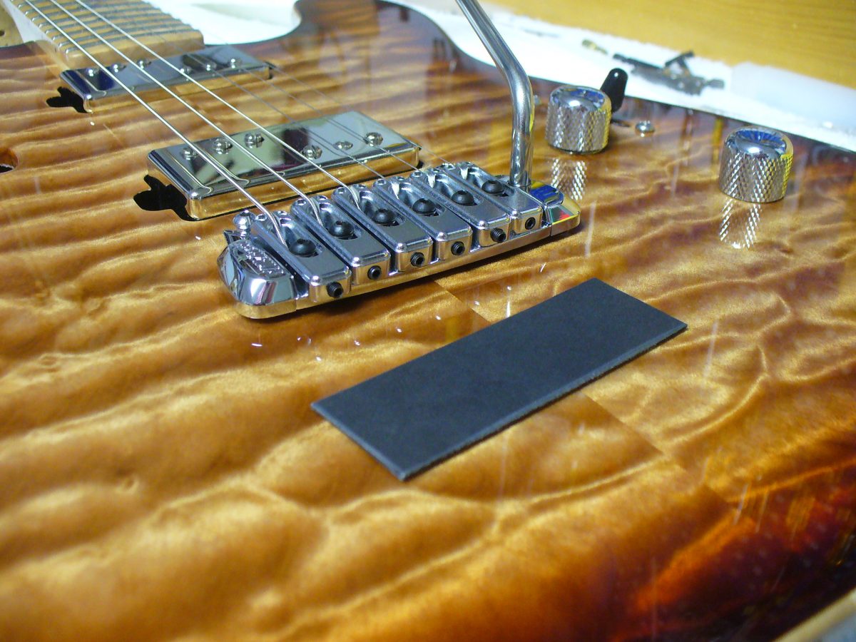 S Bridge Protect 1 | Zion Guitar Technology